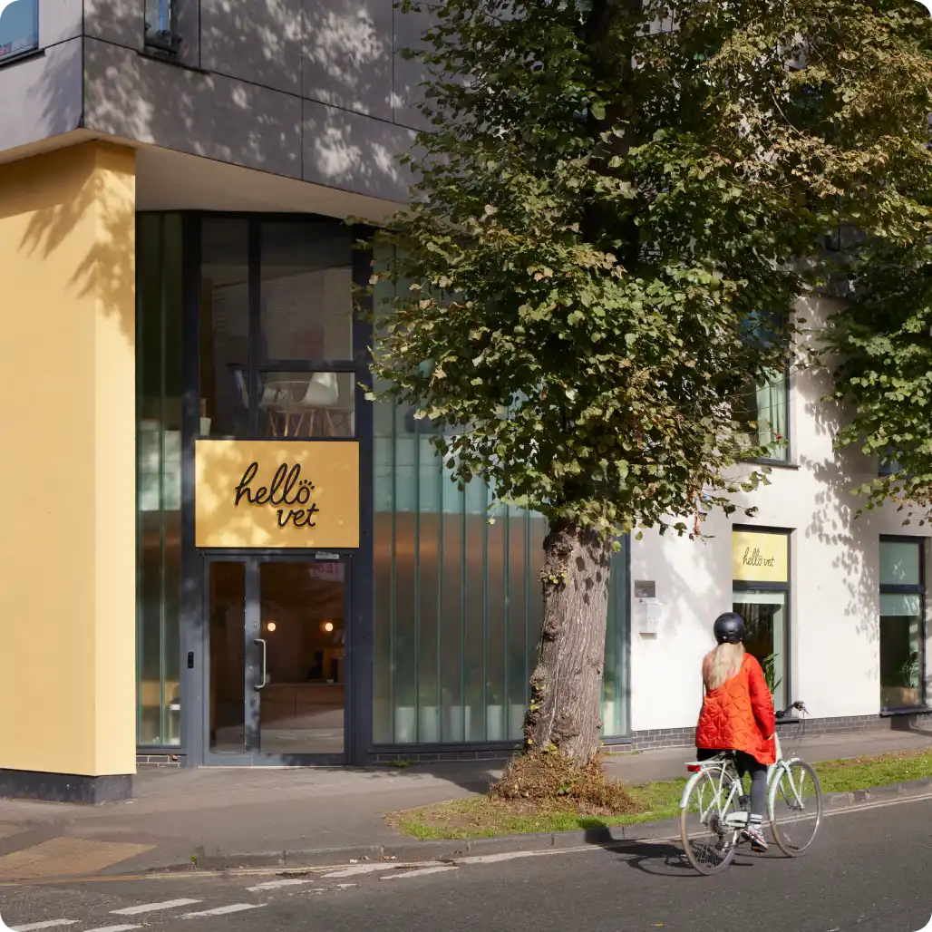 Hackney-Based Veterinary Care - E8 3RP | Hello Vet